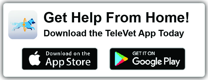 Rebate Center | A. Little Veterinary Clinic