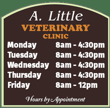 Our NEW Online Store | A. Little Veterinary Clinic